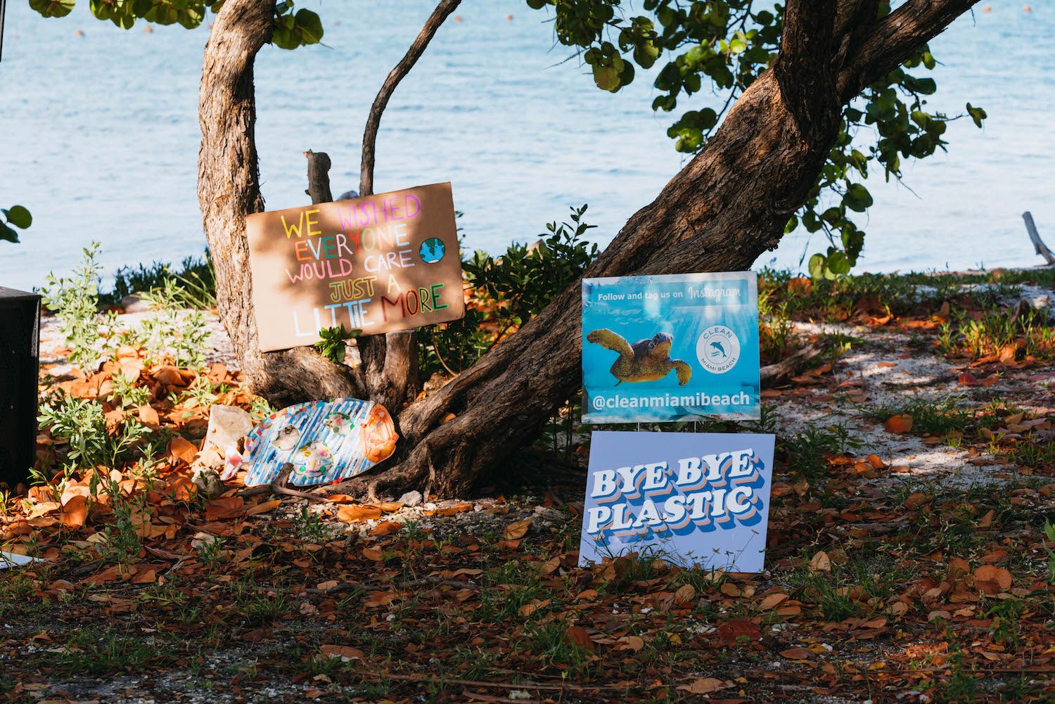 Charity of the month: Bye Bye Plastic's Camille Guitteau | Ticketpass