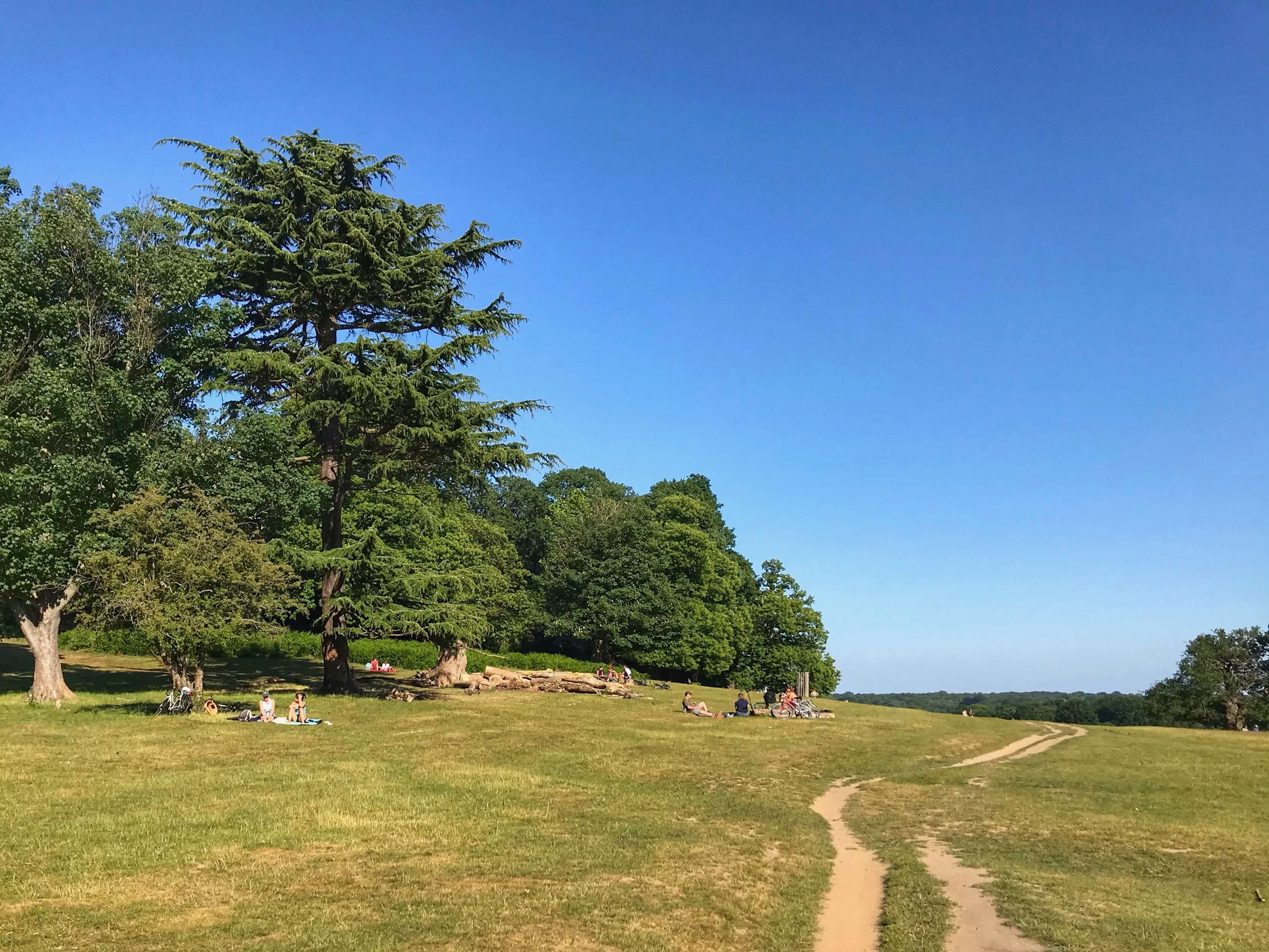 Connect with nature: 14 green spaces in London | Ticketpass