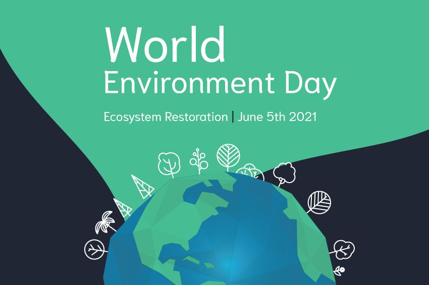 World Environment Day 2021: the lowdown | Ticketpass
